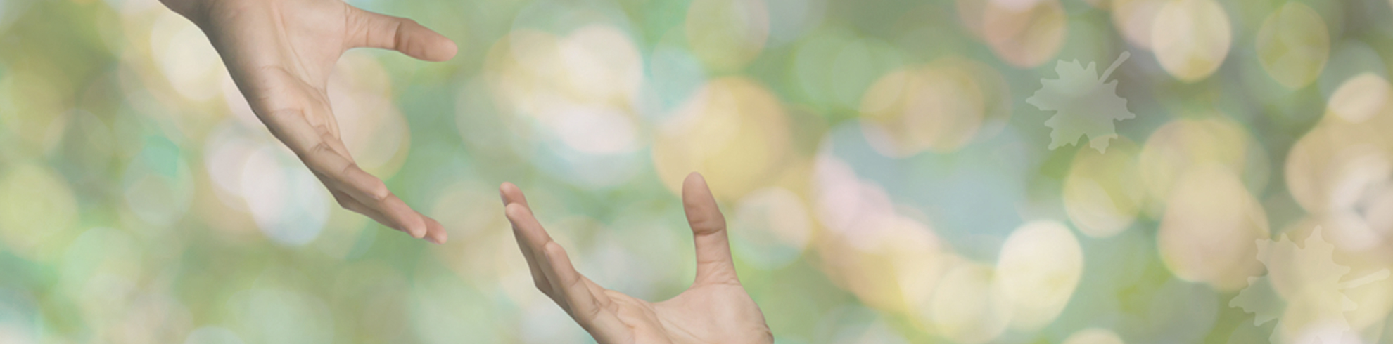 Another Great Year for Nockolds in Legal 500 Rankings | Nockolds