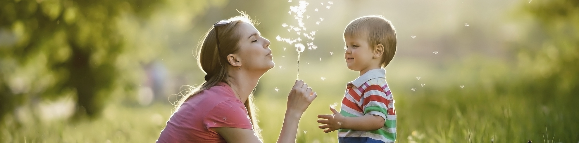 Single Parents Through Surrogacy Can Now Apply for Parental Orders ...