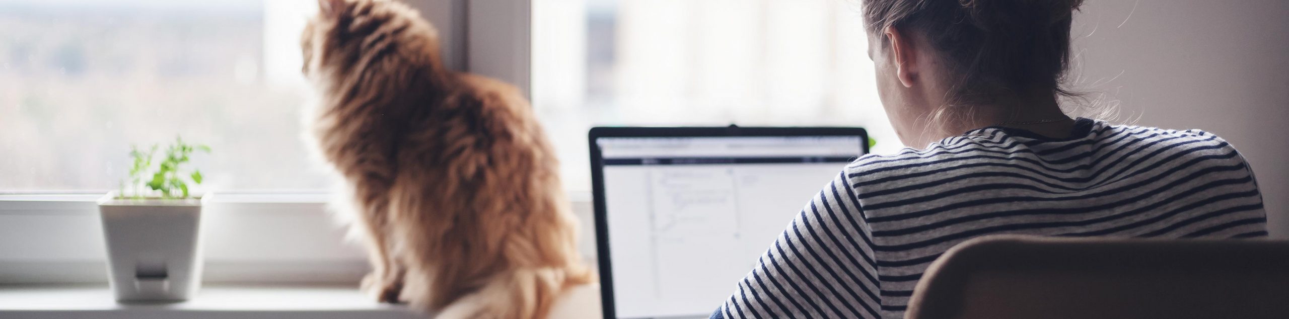 Self Isolation – What Does It Mean for Employees and Employers? | Nockolds