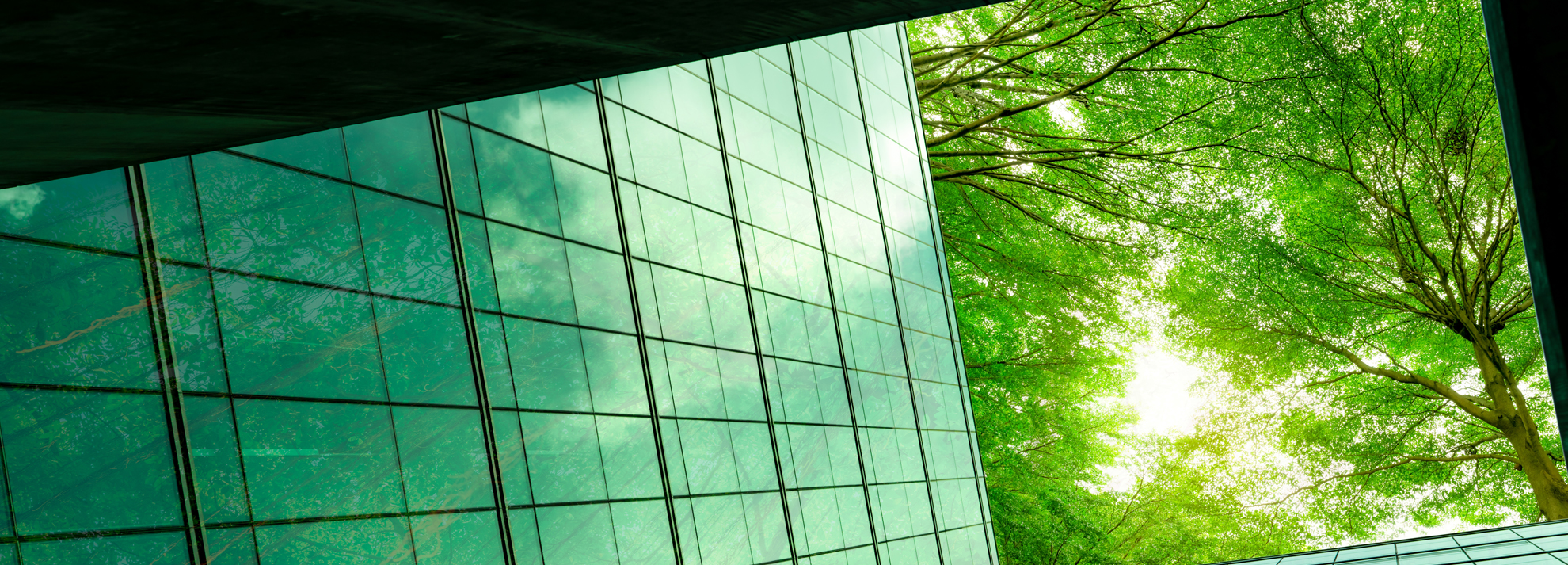 Nockolds: Full Service Law Firm, HR Specialists & Financial Advisers