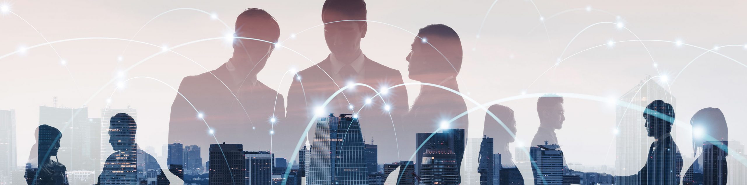 The International Department at Nockolds | Nockolds