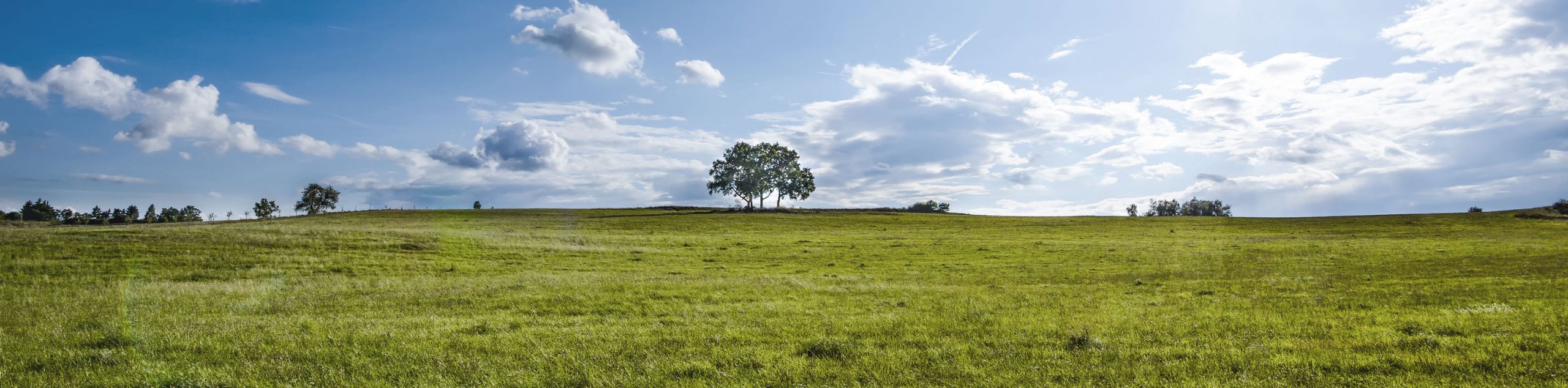 Adverse Possession | Property Litigation | Nockolds